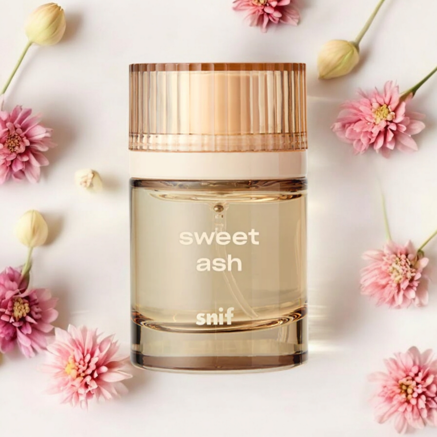 Shop Snif Sweet Ash Fragrance Samples – The Perfume Apothecary